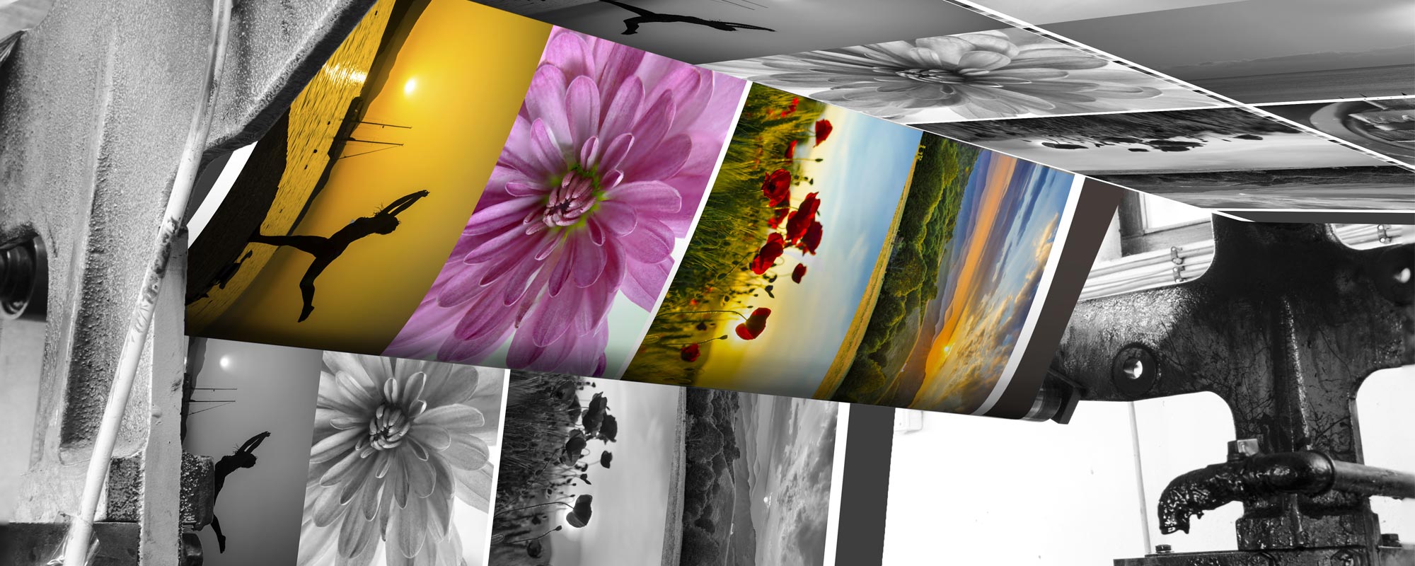 Get clued up on litho and digital printing - Digiprint Nettl